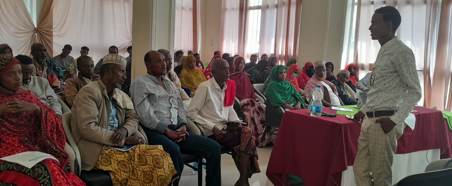 country program – Horn Center for Democracy